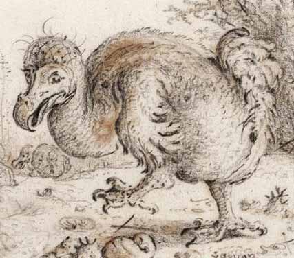 Improbable Research » Blog Archive